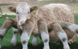 Hi Tier List Maker - TierLists.com