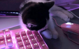 ножи валорант Tier List Maker - TierLists.com