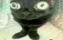 Dota 2 skills Tier List Maker - TierLists.com