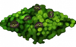 Msm Paths 1 Tier List Maker - TierLists.com